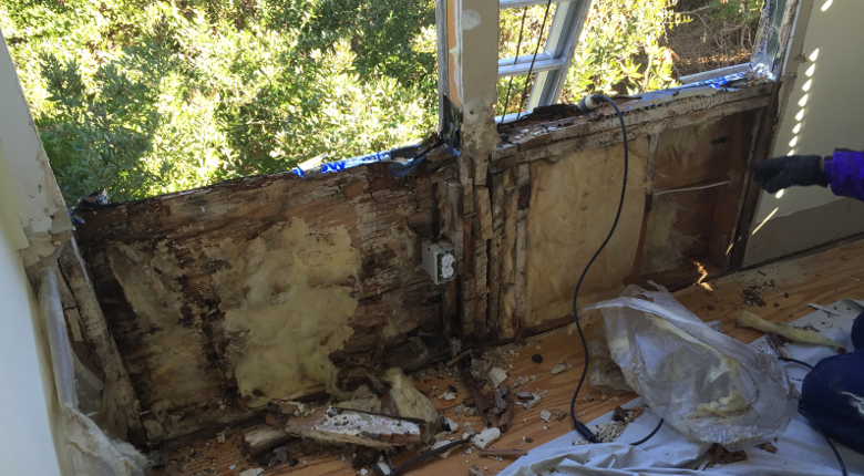 Don't Overlook the Warning Signs of Home Deterioration